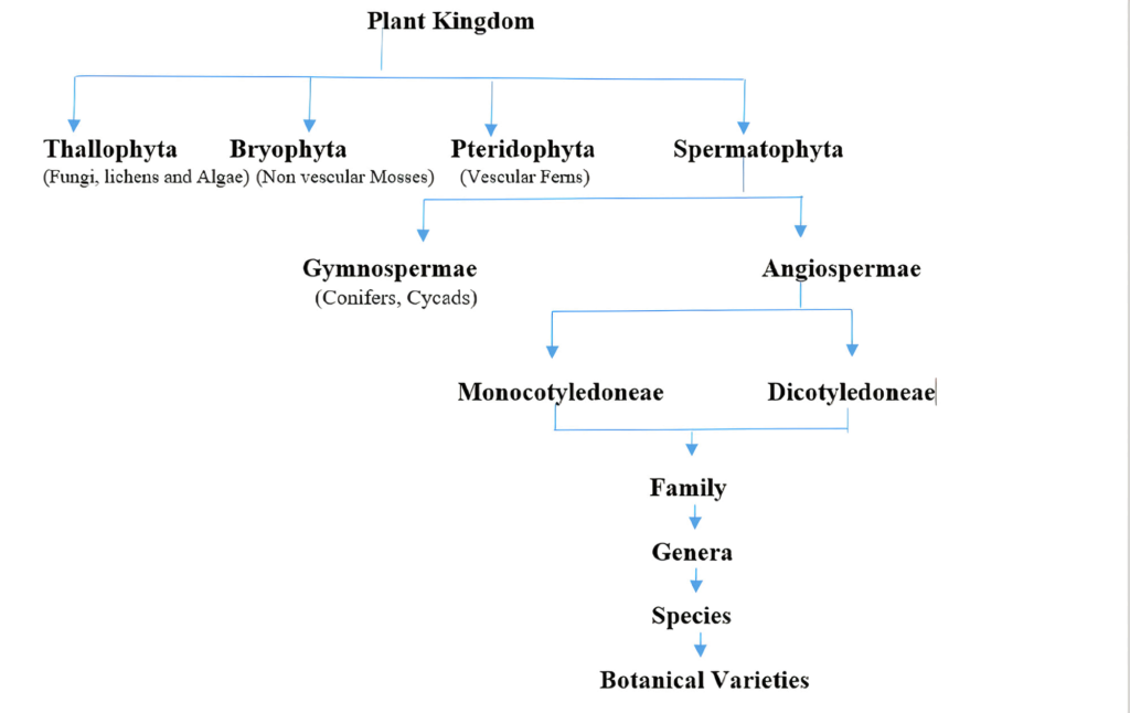 Horticultural and Botanical Classifications of Fruits - Horticulture Guruji