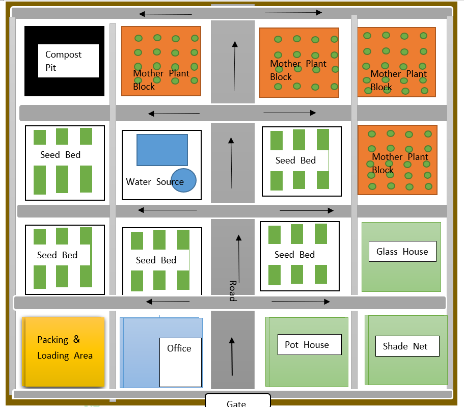 Nursery Raising and It's Importance - Horticulture Guruji