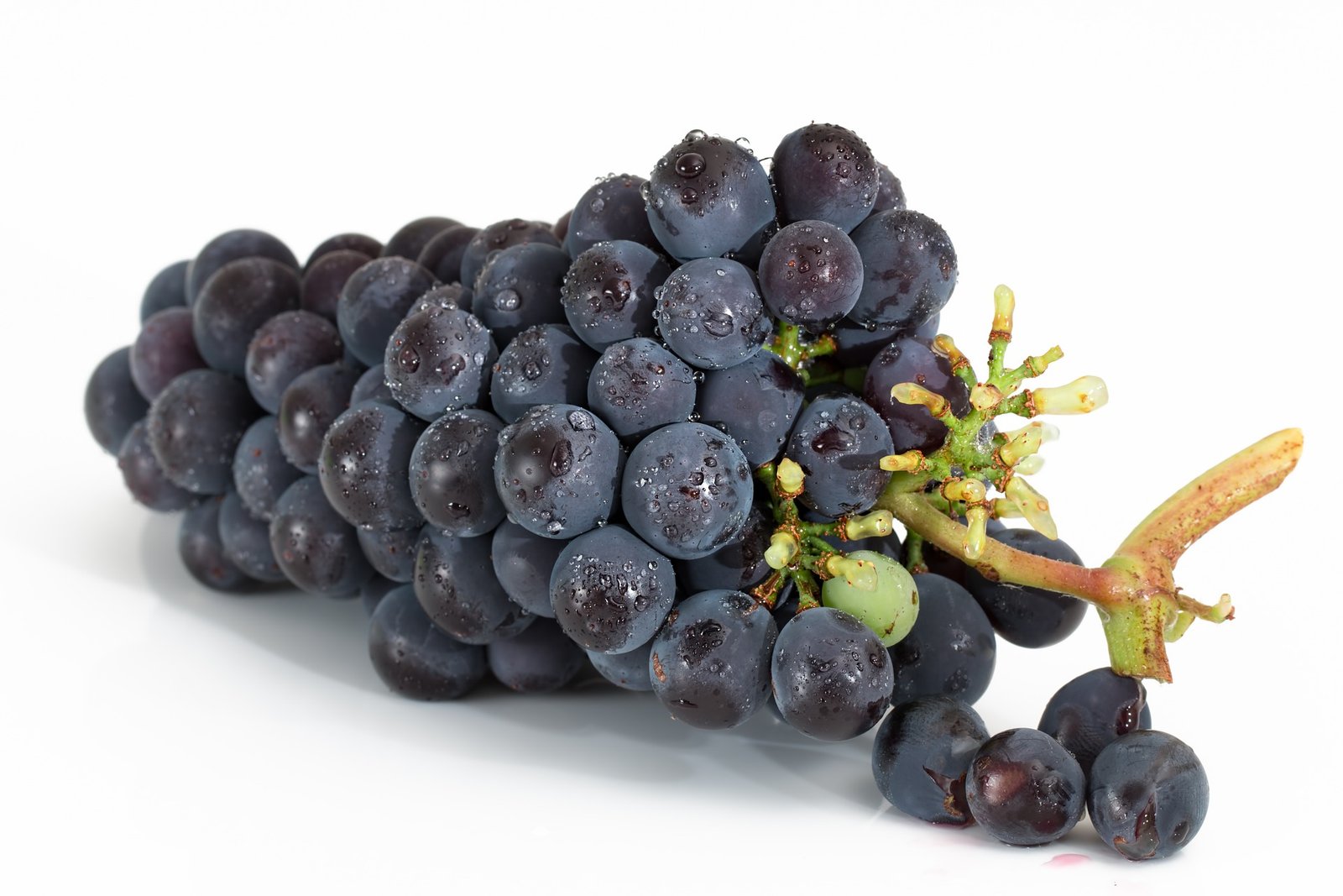 Grapes - Horticulture Guruji