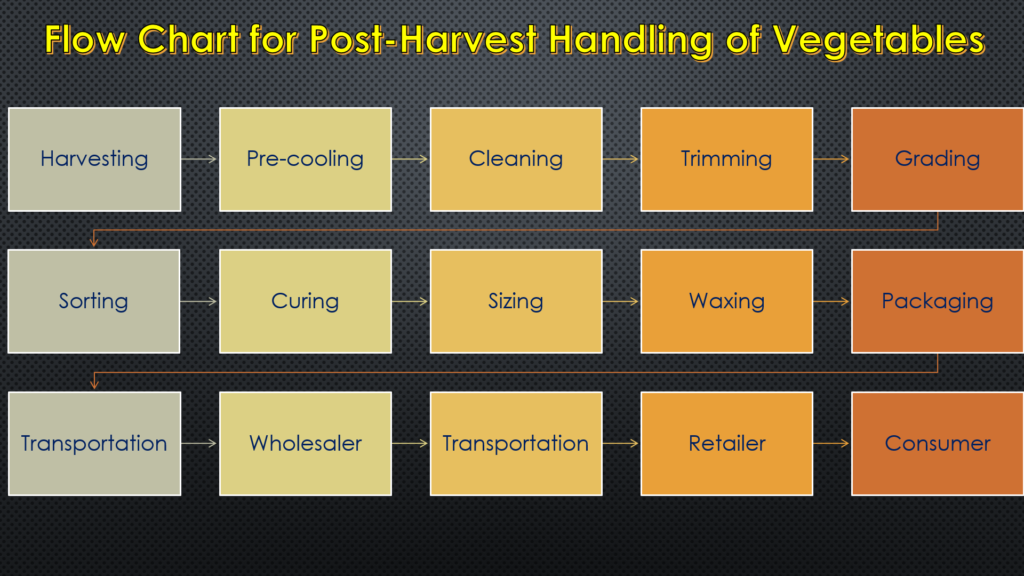 To study about post-harvest handling of fruits and vegetables ...