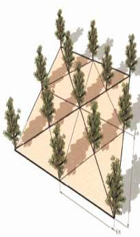 To study the layout and planting of orchard - Horticulture Guruji