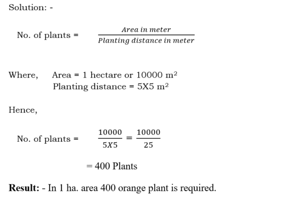 Calculation of number of plants in different systems of planting ...