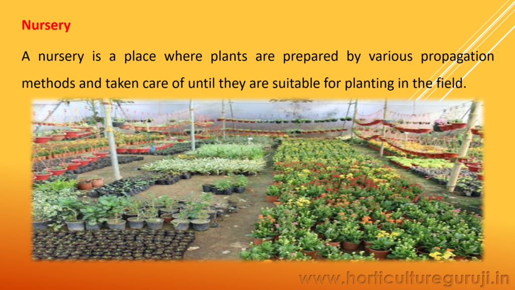 Nursery raising and its importance PPT - Horticulture Guruji