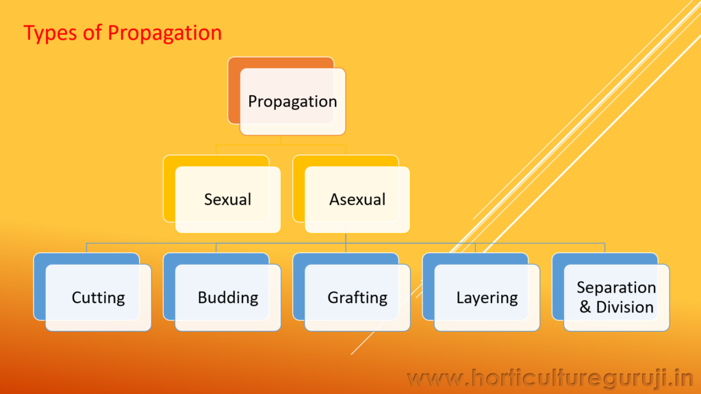 Plant Propagation PPT - Horticulture Guruji