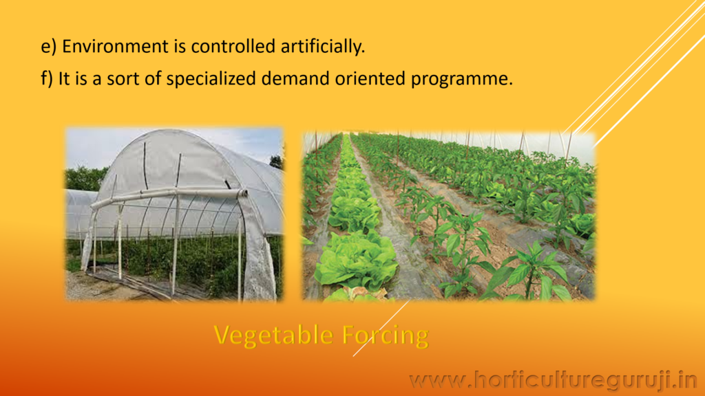 Types of Vegetable Garden PPT - Horticulture Guruji