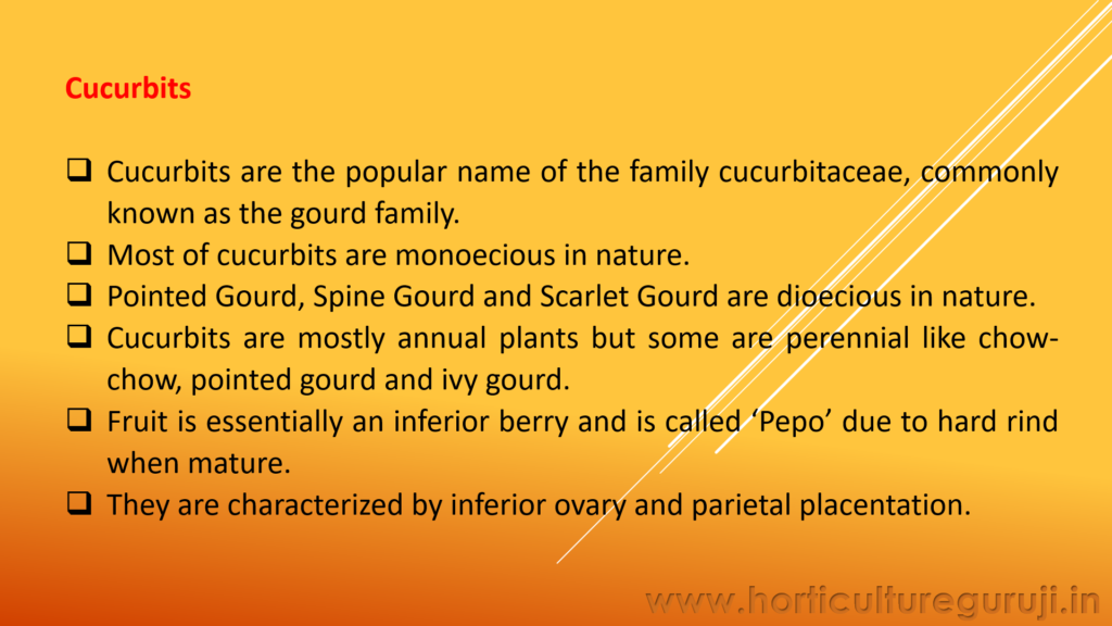 Introduction to Cucurbits PPT - Horticulture Guruji