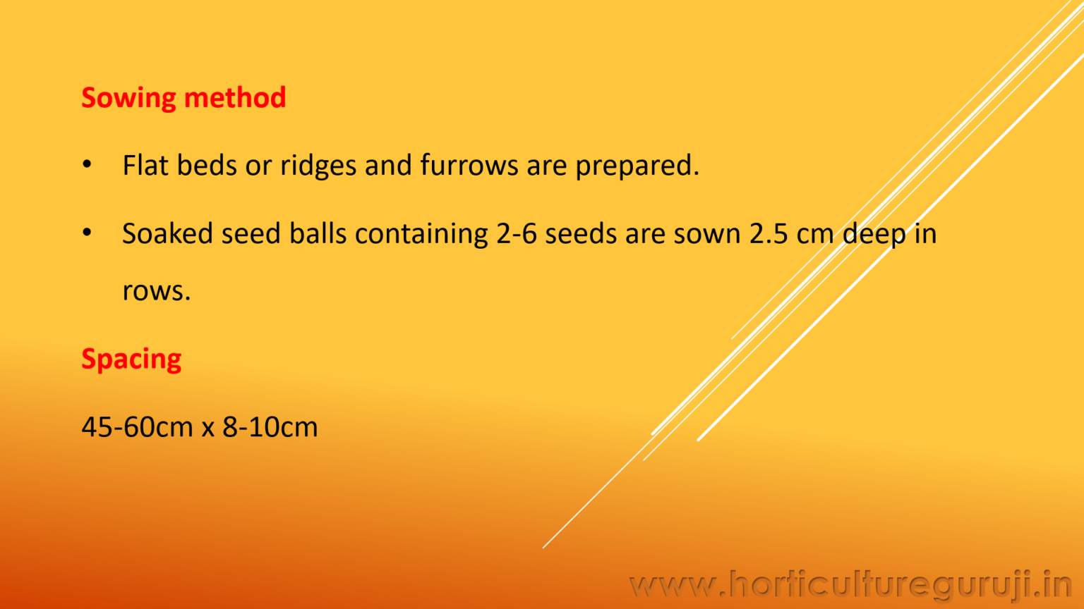 Beet Root PPT - Horticulture Guruji
