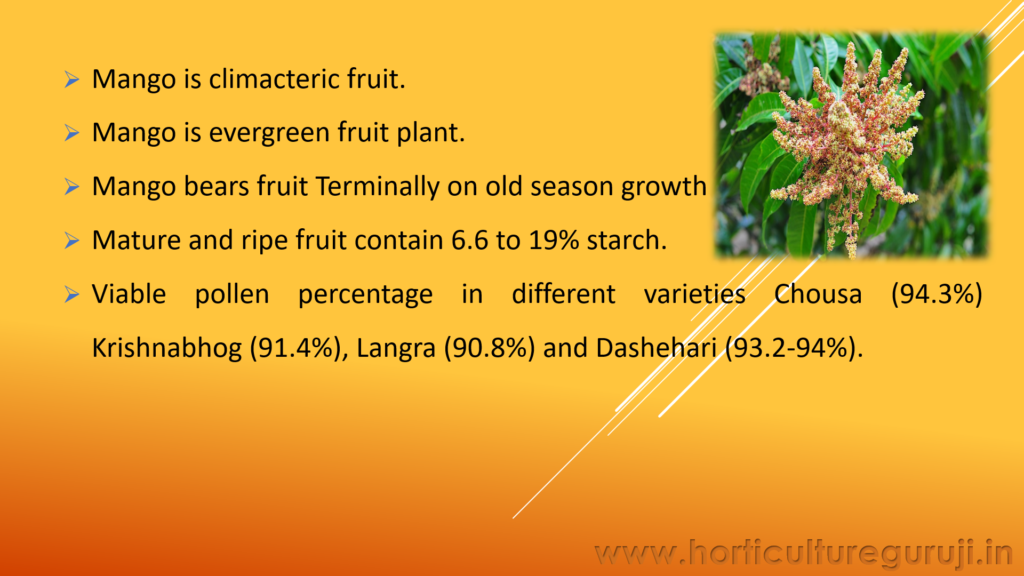 Mango Cultivation PPT - Horticulture Guruji