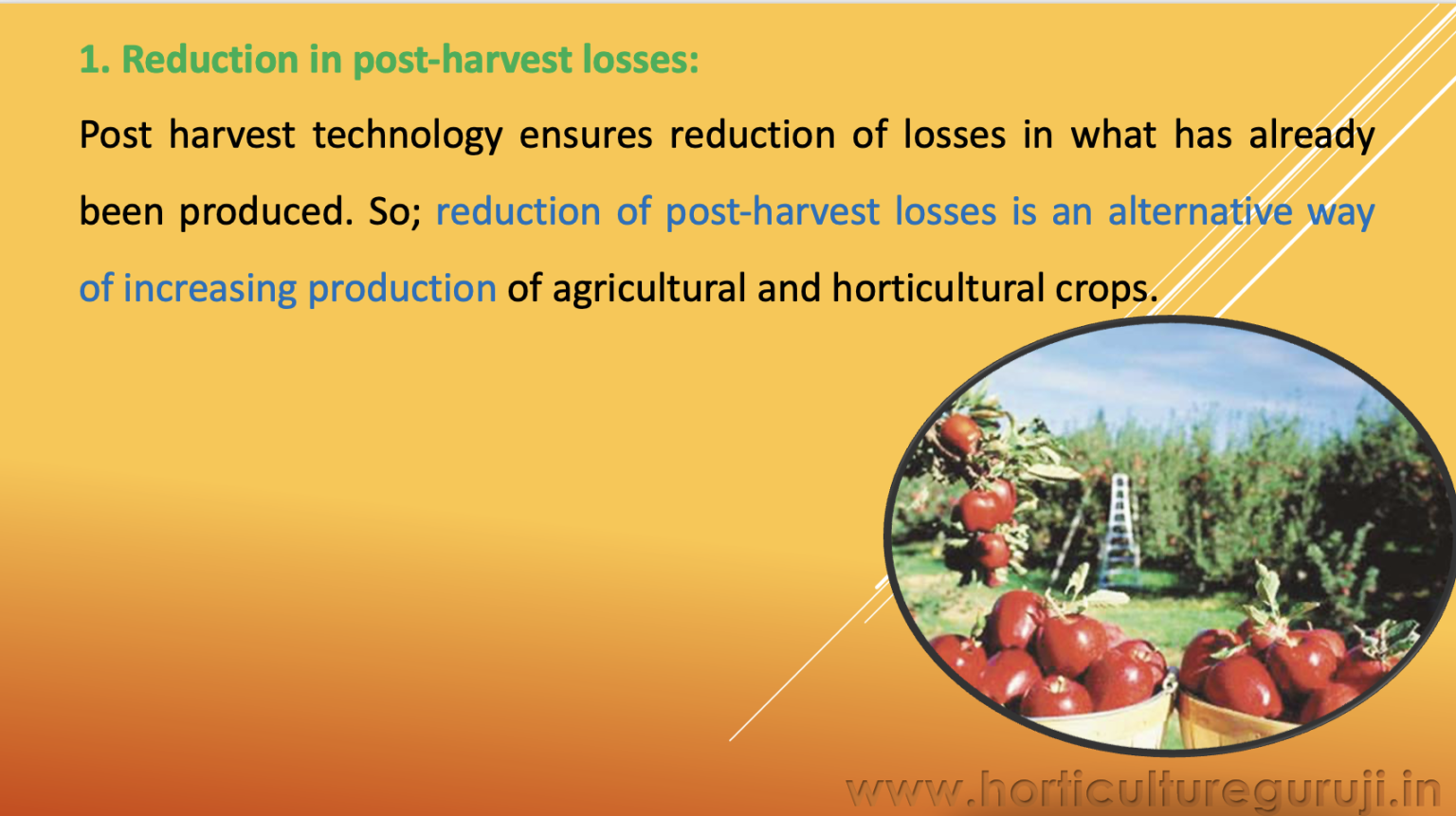 Importance of Post Harvest Technology PPT - Horticulture Guruji