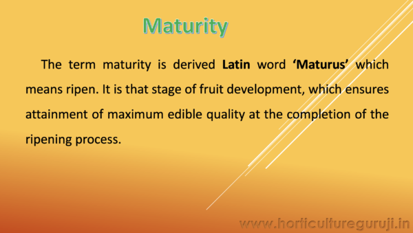 Maturity and Maturity Indices PPT - Horticulture Guruji