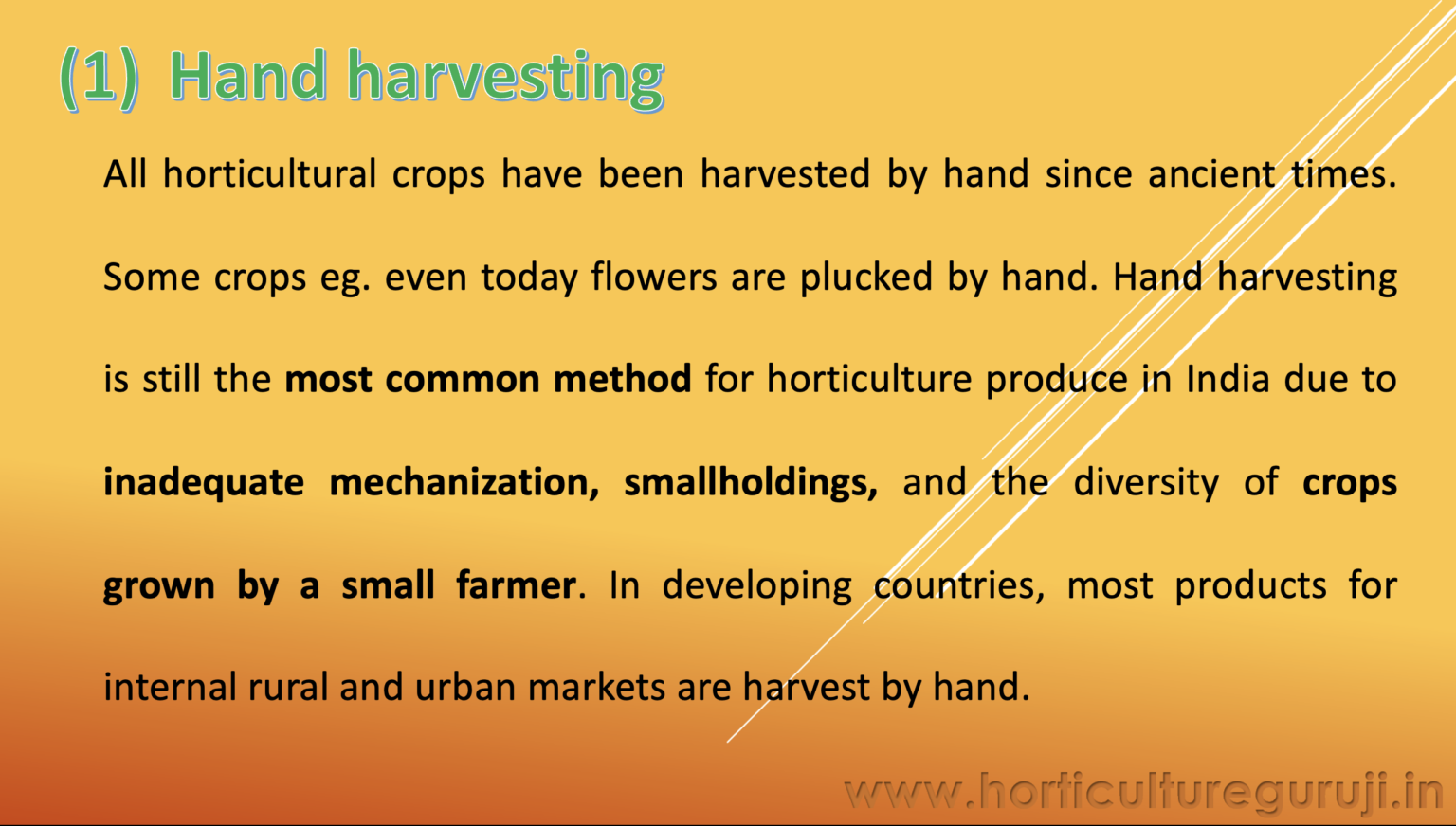 Harvesting and Field Handling PPT - Horticulture Guruji