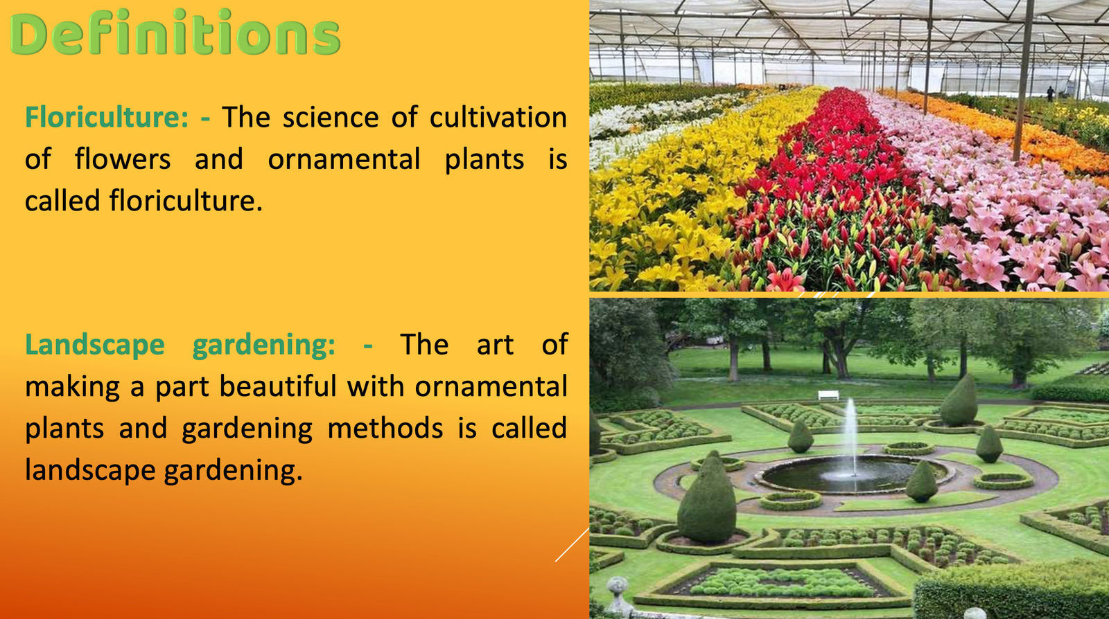 Importance and Scope of Ornamental Crops and Landscaping PPT ...